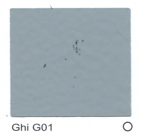 Ghi G01 - Sơn Hải Phòng